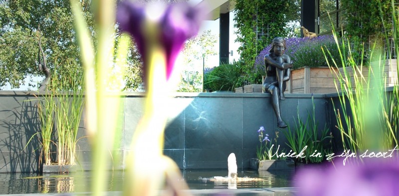 Landgoed Artihove-Vidaa - Bergschenhoek - Zuid-Holland - Salino.nl